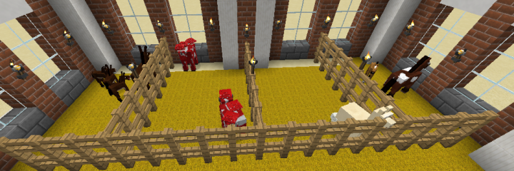 Pet Shop Minecraft Map