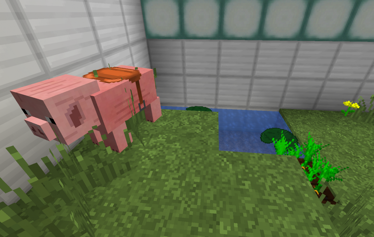 Pig Maze Minecraft Map