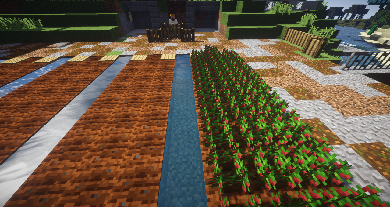 BTOWN MR LEGGE Minecraft Map