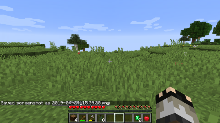 My Friends World Minecraft Map