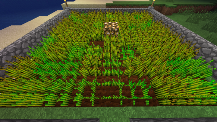 Blank Anarchy Minecraft Server