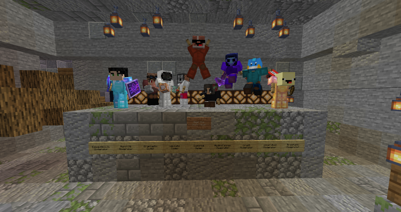 The Bricks Minecraft Server