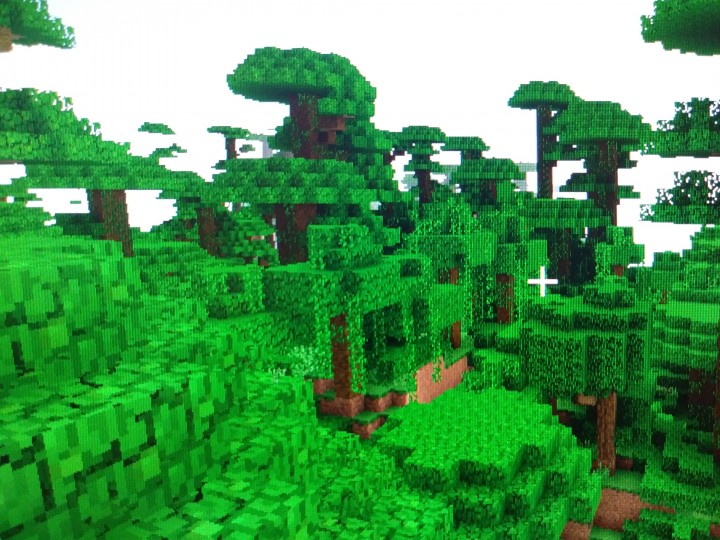 Rainforest Custom Map for 1.14 Minecraft Map