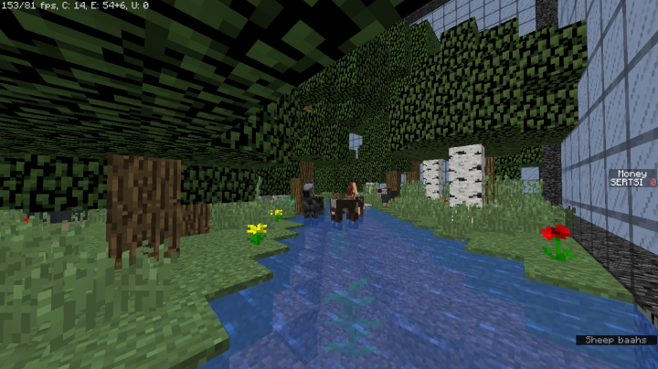 Skybox Minecraft Map