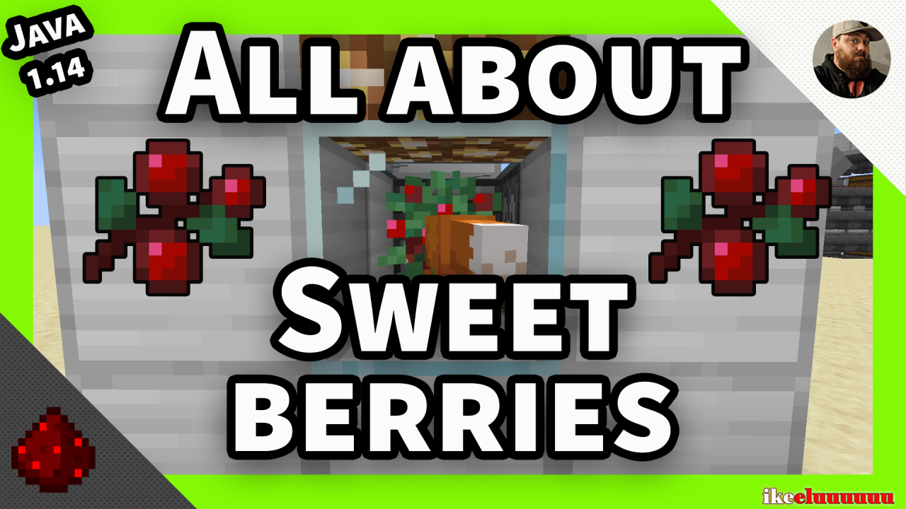 All About Sweet Berry Farming | Minecraft 1.14 | Ideas and Tutorials ...