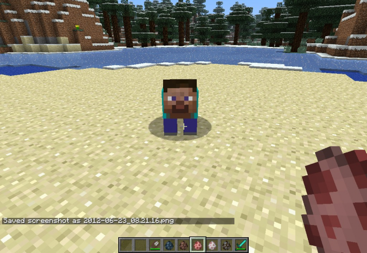 Steve Craft (1.14) Minecraft Texture Pack