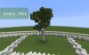Star's Arboretum | An Original Build Minecraft Map