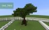 Star's Arboretum | An Original Build Minecraft Map