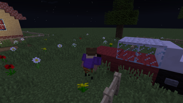 Hello Neighbor Pre-Alpha Minecraft Map