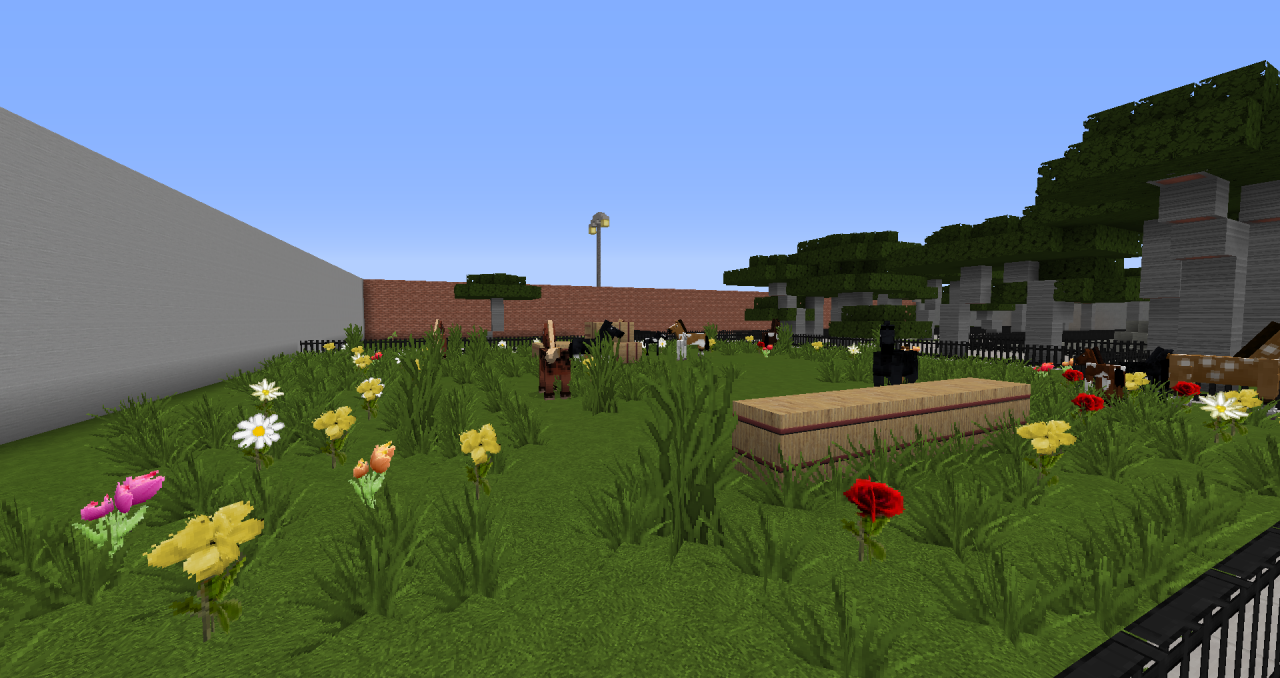 small zoo Minecraft Map