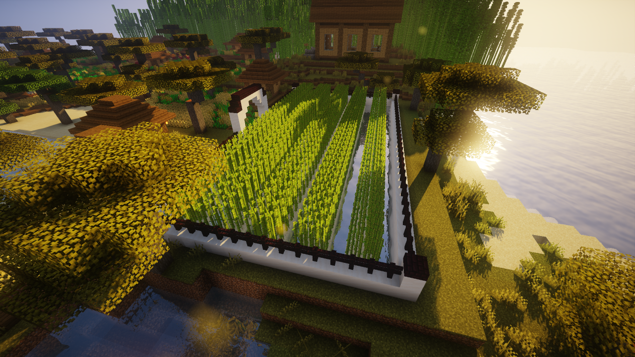 Plantation Minecraft Map