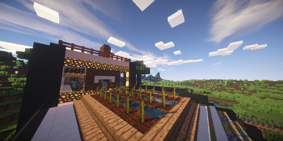 Noob&Pro Houses Minecraft Map