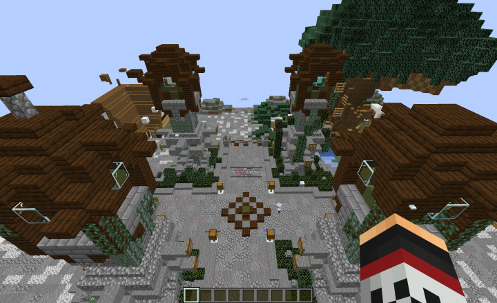 Primitive Network Minecraft Server