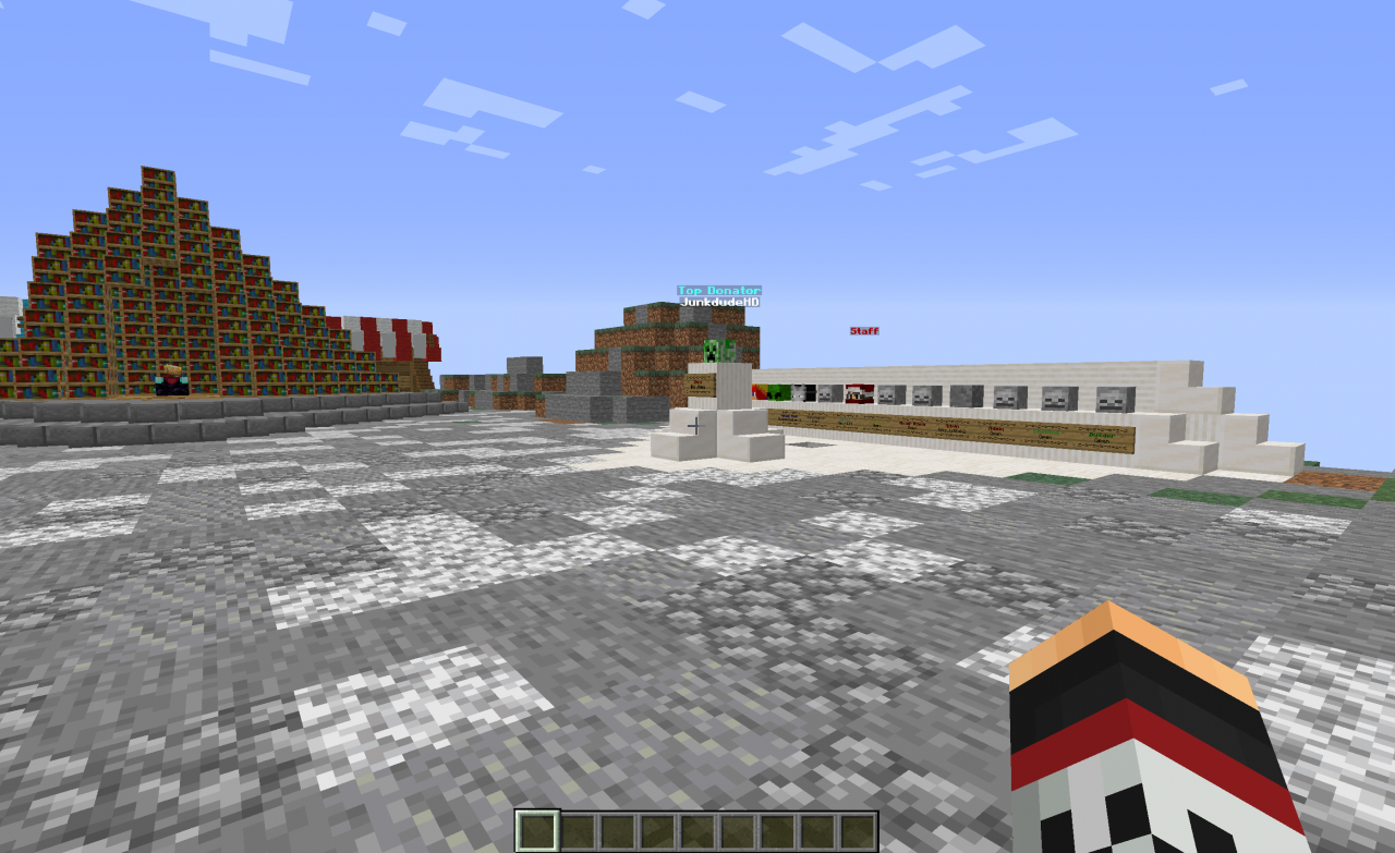 Primitive Network Minecraft Server