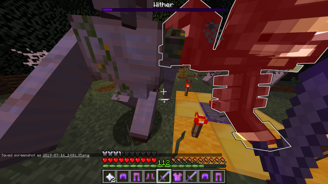 Protect The Wither Minecraft Map