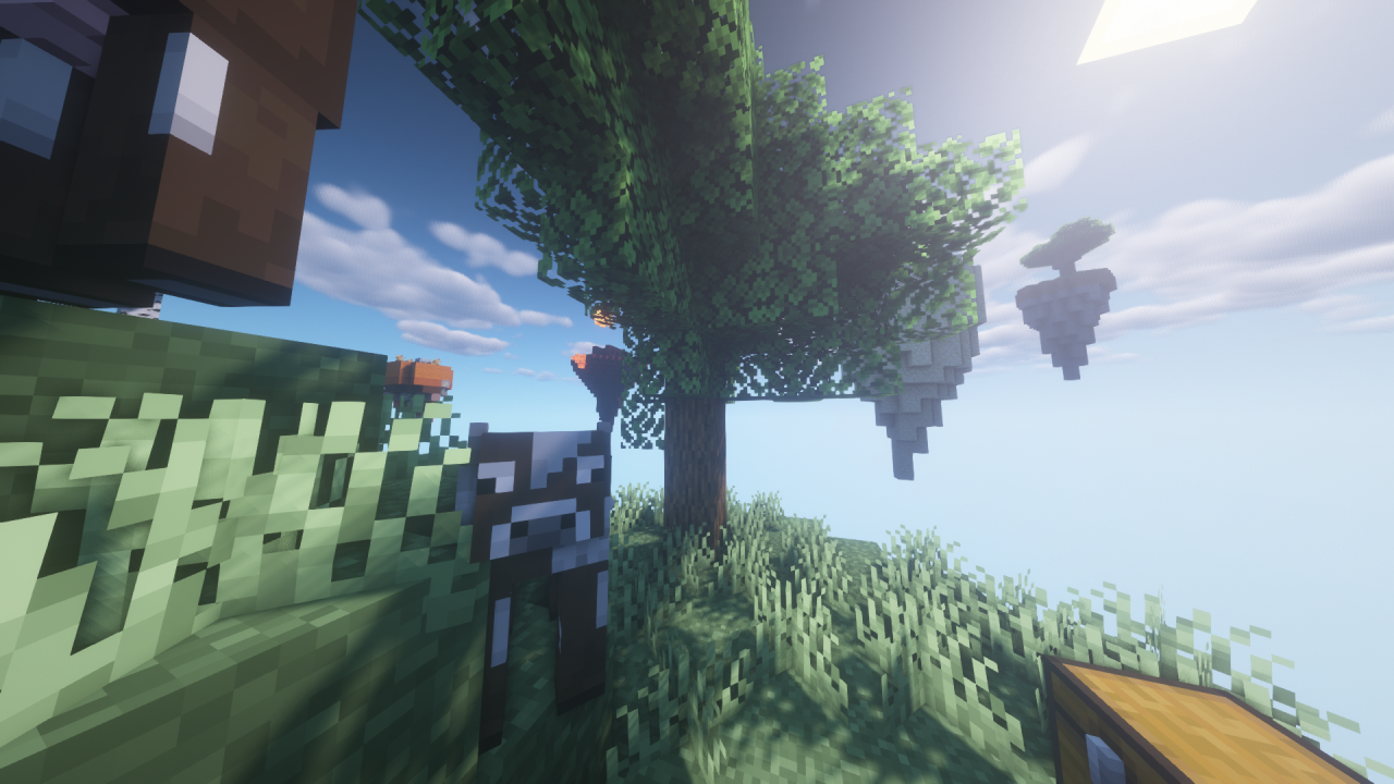 World SkyBlock Minecraft Map