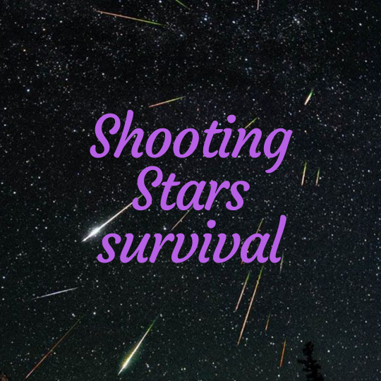 Shooting Stars Survival Minecraft Server