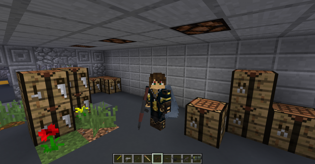 Resource Pack Minecraft Map