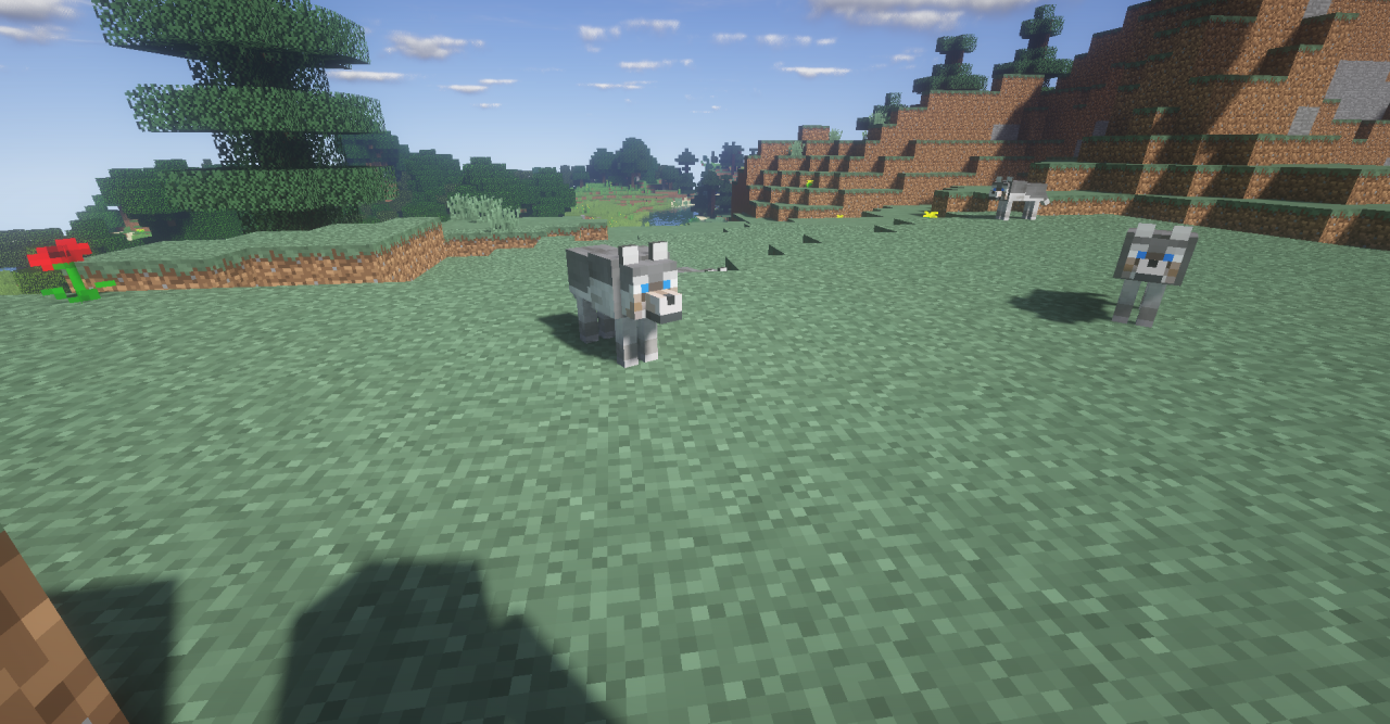 Wolves Except They're Huskys Minecraft Texture Pack