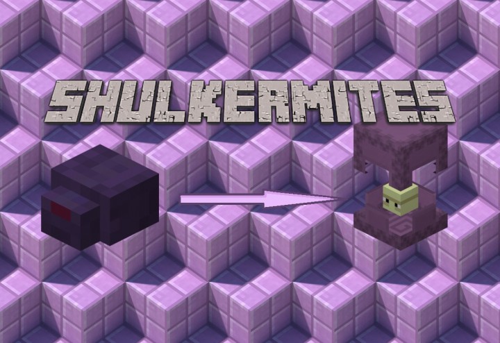 SHULKERMITES: Survival Friendly Colored Shulkers/Endermite Burrowing ...