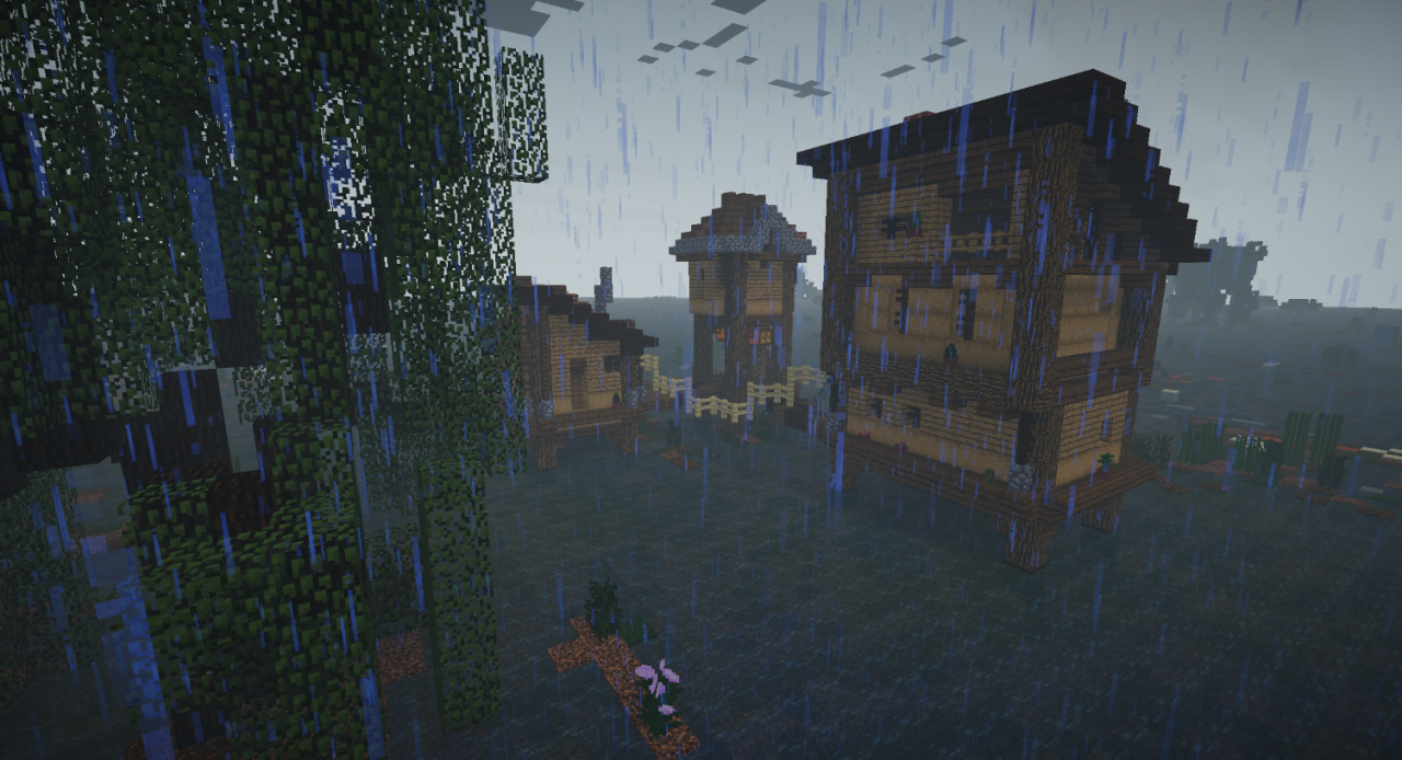 A swamp household Minecraft Map