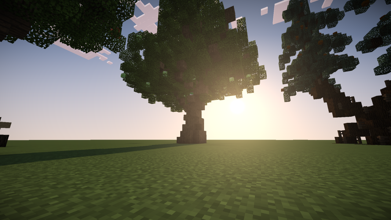 40+ Trees Minecraft Map