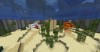 Koi Fish Pond Hub | 100x100 Minecraft Map