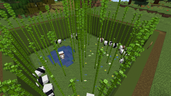 Panda Pit Minecraft Map