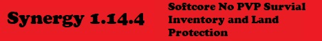 Synergy Minecraft Server
