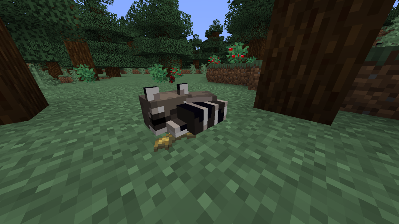 Raccoon! Minecraft Texture Pack