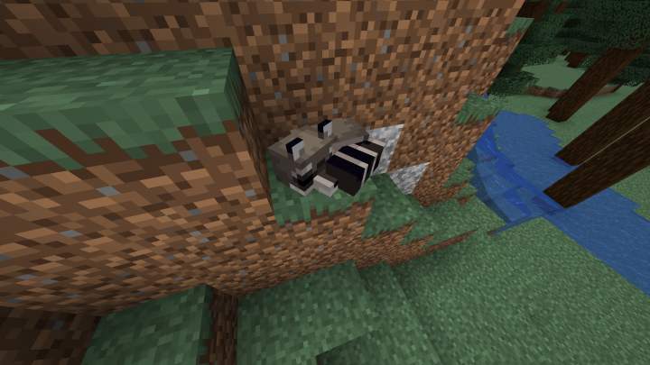 Raccoon! Minecraft Texture Pack