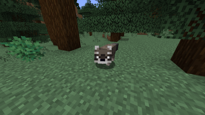 Raccoon! Minecraft Texture Pack