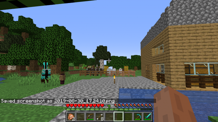 RAID SURVIVE Minecraft Map