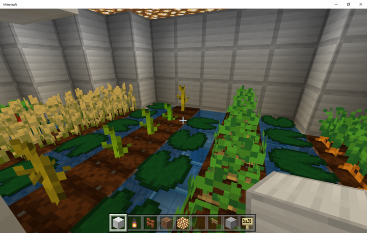 Demeter 20 (Manned Food Supply Rocket) | Project 2048 Minecraft Map