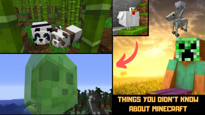 Things You Should Know About Minecraft