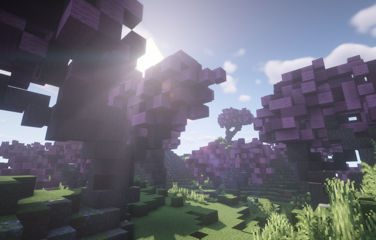 MultiBiomes Island Minecraft Map