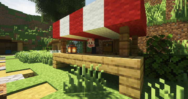 Blured Network Minecraft Server