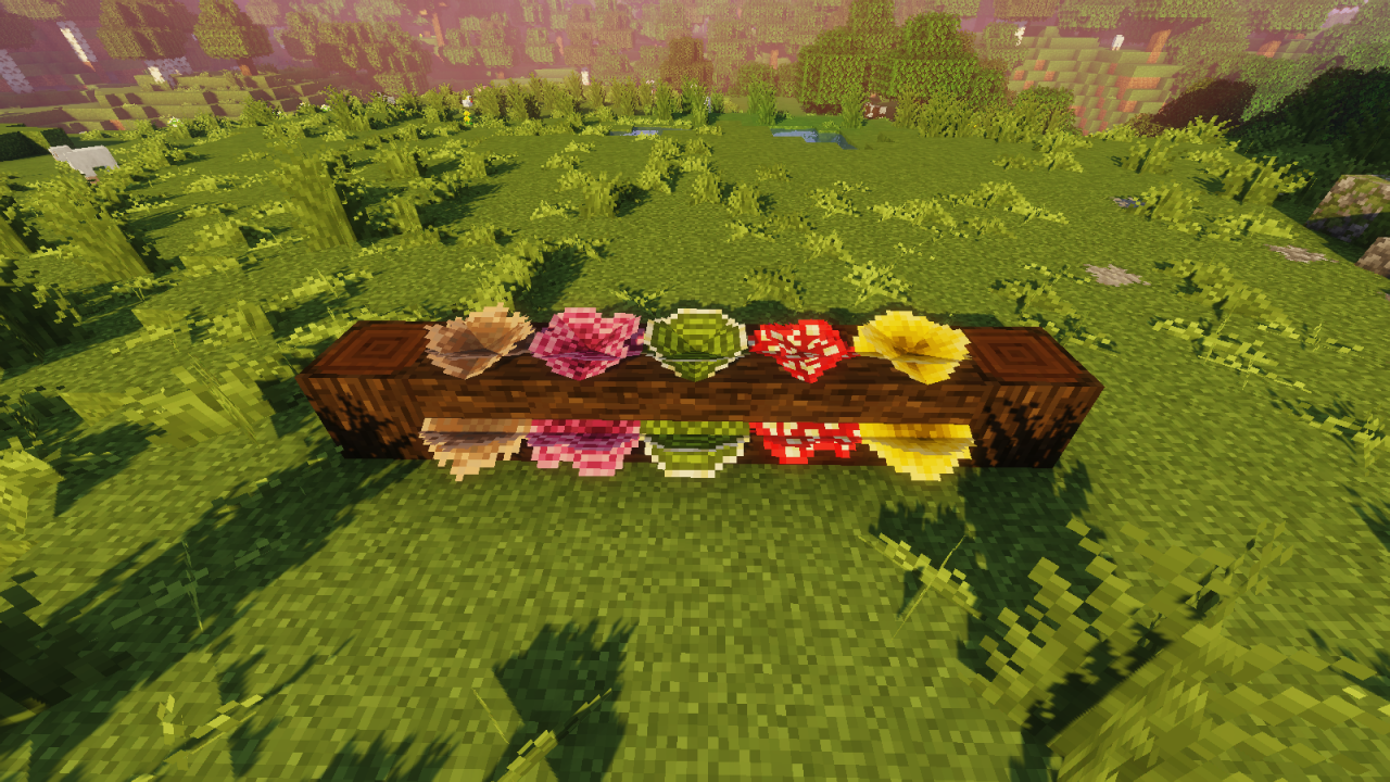 Shelf Fungus - Decorations for Your Forest Floors! Minecraft Texture Pack