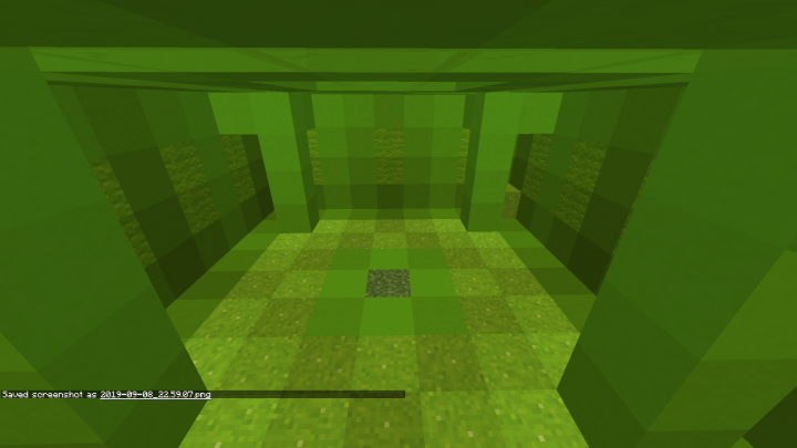The puzzling rooms Minecraft Map