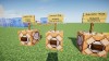 Test Map For Texture And Shaders (ITA/ENG) Minecraft 1.13.2 Minecraft Map