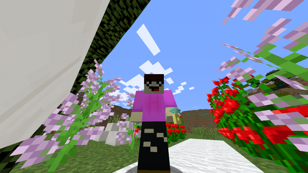 Engagement Ring Texture Pack 1.8.x-1.12.x (Requires Optifine) Minecraft ...