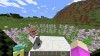 Engagement Ring Texture Pack 1.8.x-1.12.x (Requires Optifine) Minecraft ...