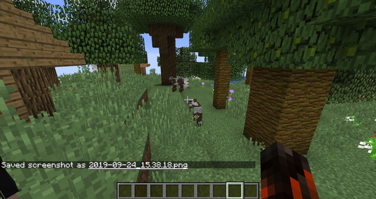 big but small Minecraft Map