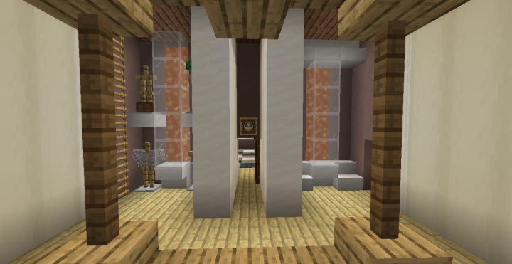 Aesthetically Functional Minecraft Map