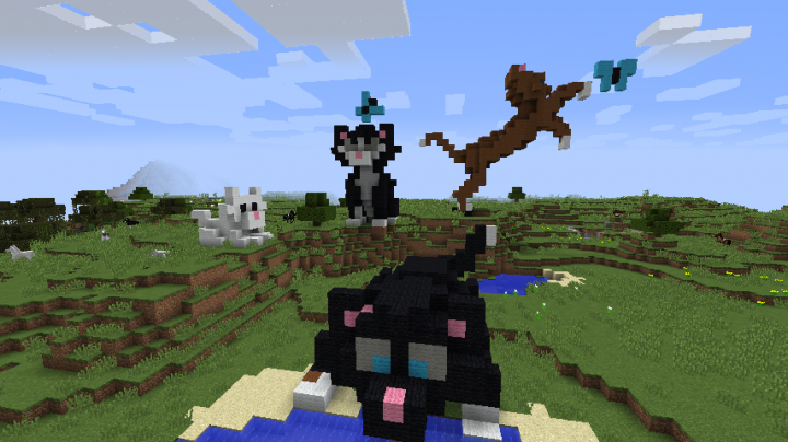 CATS Minecraft Map