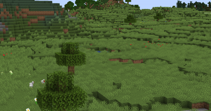 Seed: Huge Plains + Village @Spawn Minecraft Map