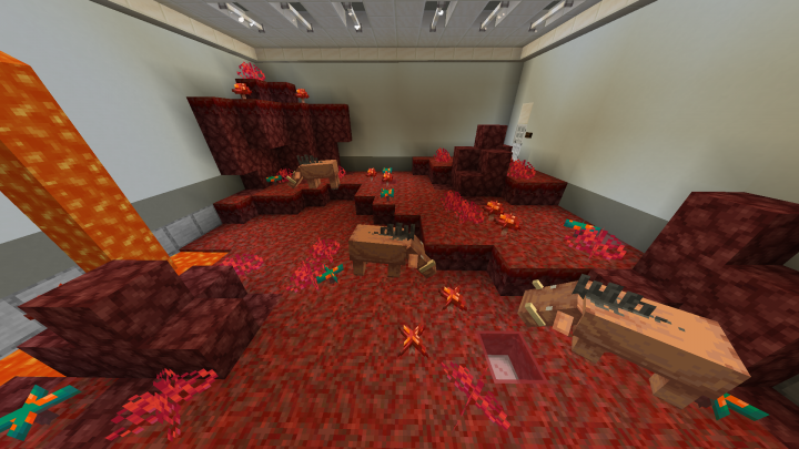 1.16 Hoglin Preview Minecraft Map