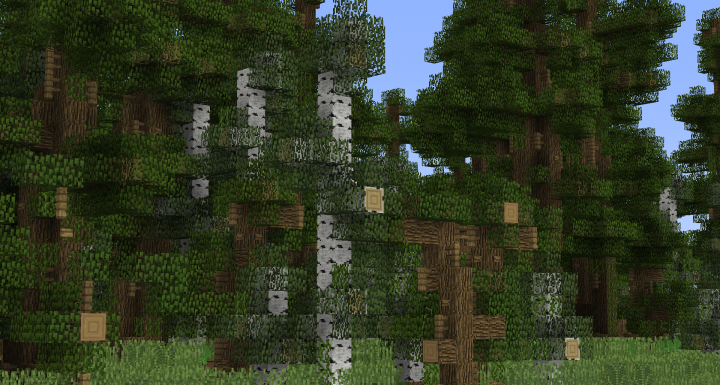 Dense Forest Minecraft Map