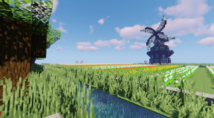 Single Build - Tulip Fields and a Windmill Minecraft Map