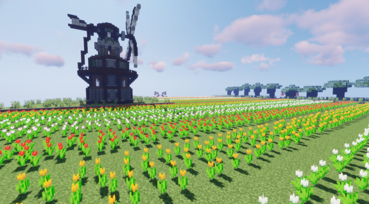 Single Build - Tulip Fields and a Windmill Minecraft Map